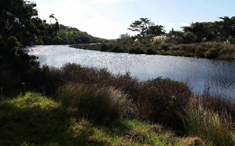 Rarawa Beach Camping Area | Freedom/Basic Camp | New Zealand